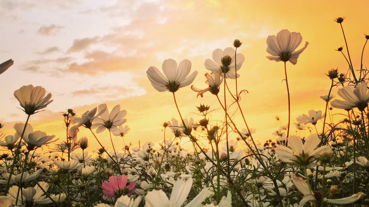 Embracing the Energy of Spring