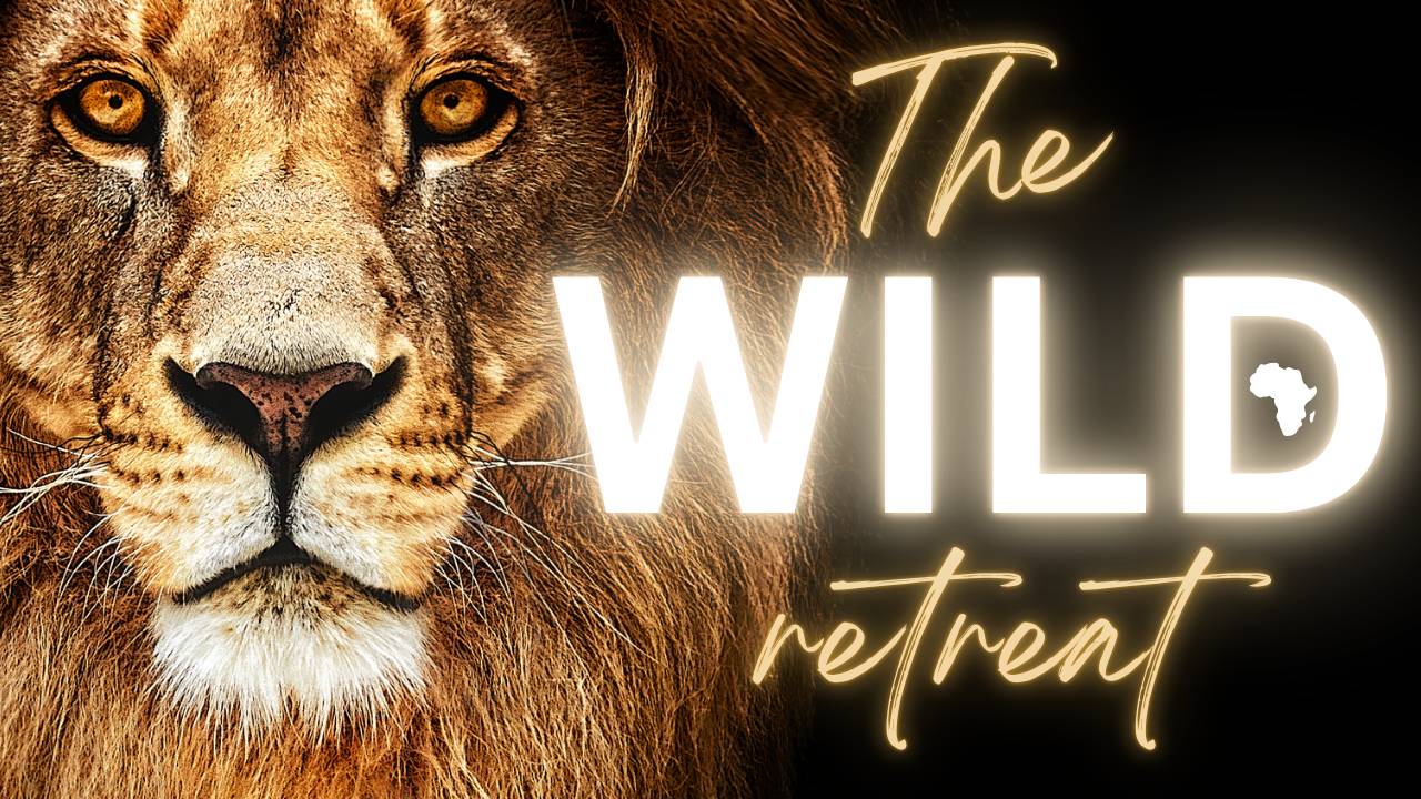 THE WILD RETREAT
