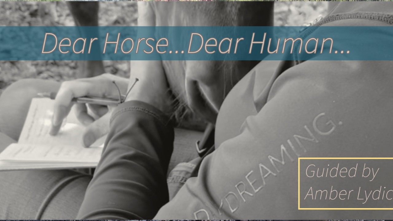 [REGISTER NOW] Dear Horse... Dear Human