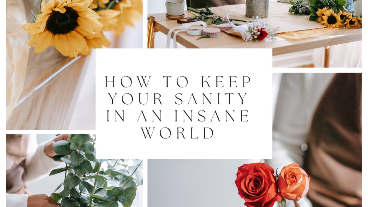 How to Keep Your Sanity in an Insane World