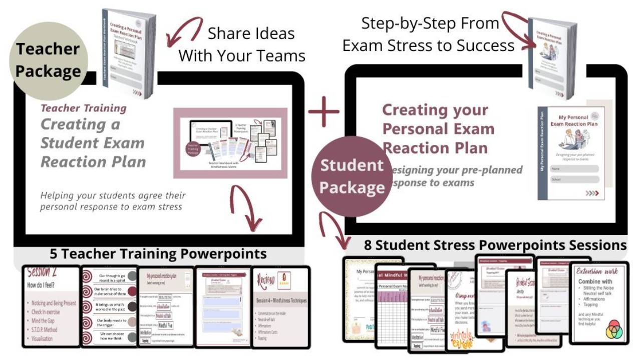 Reaction Plan Sales Page