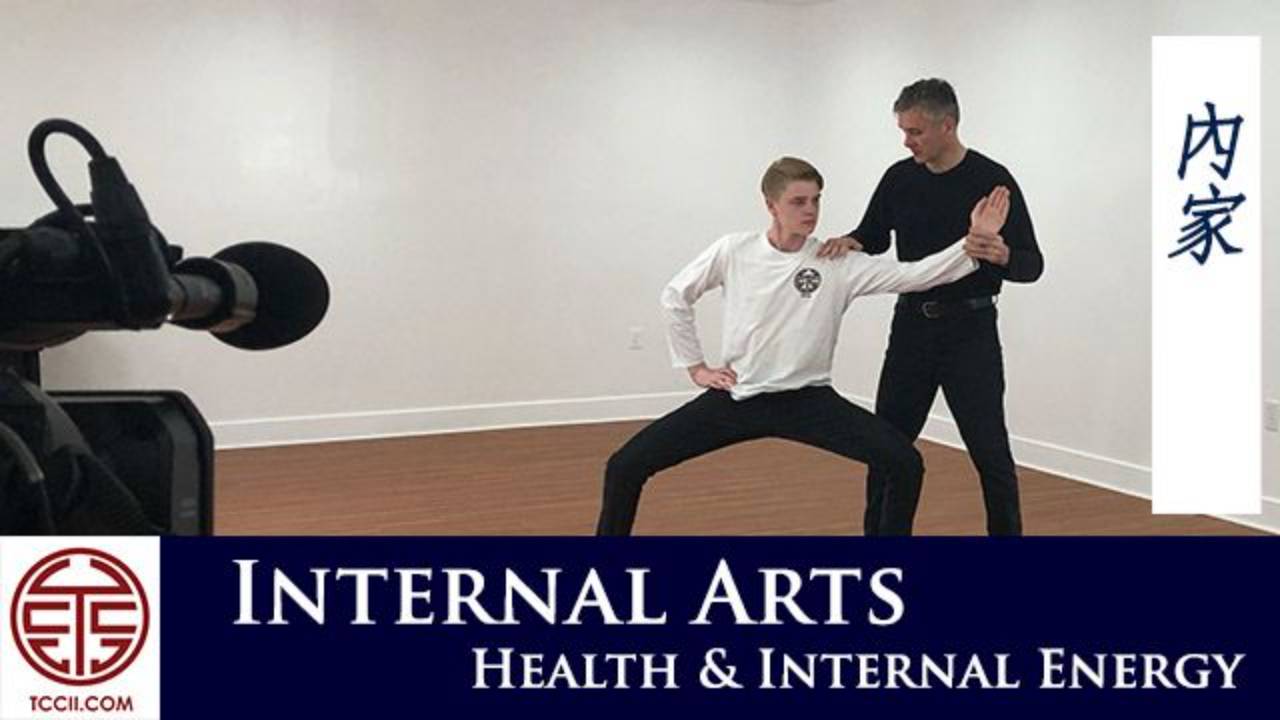 Internal Arts Super Bundle - Online Video Program