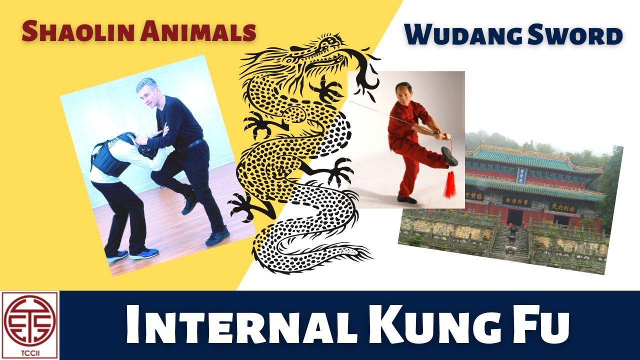 Internal Kung Fu Animals & Wudang Sword Training Program