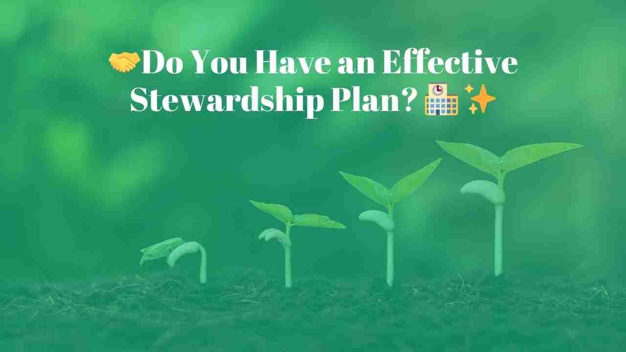 4 Strategies for Creating an Effective Stewardship Plan
