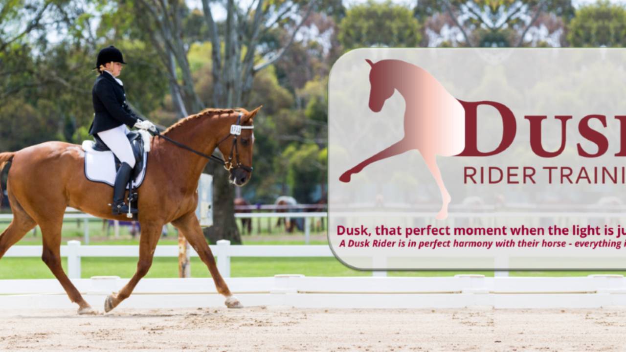 Horse & Rider training, online training program for lessons at home!