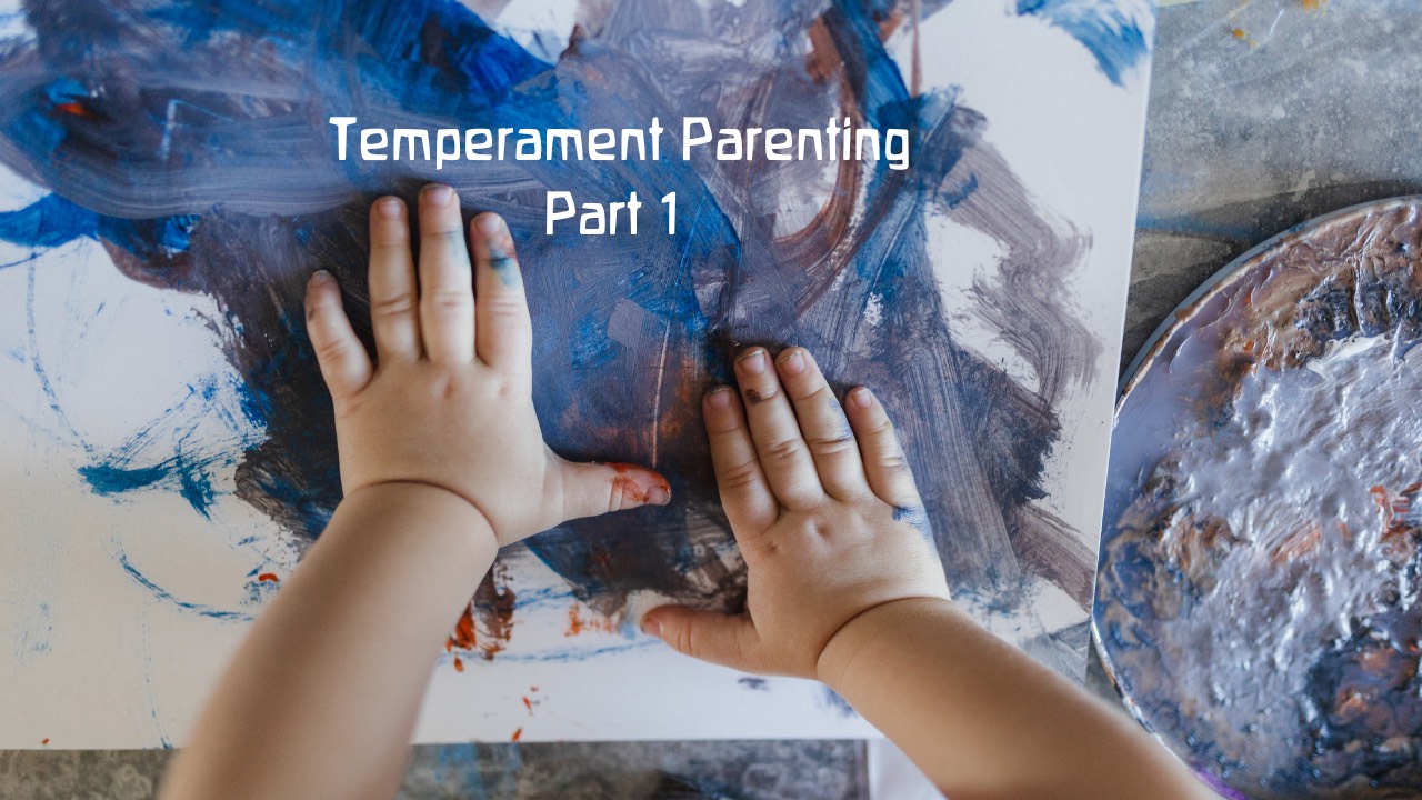 Temperament Parenting : Part 1