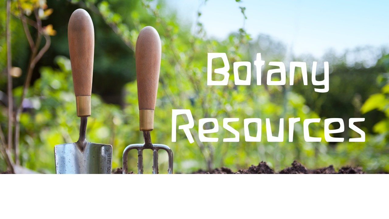 Waldorf Homeschooling Botany Resources