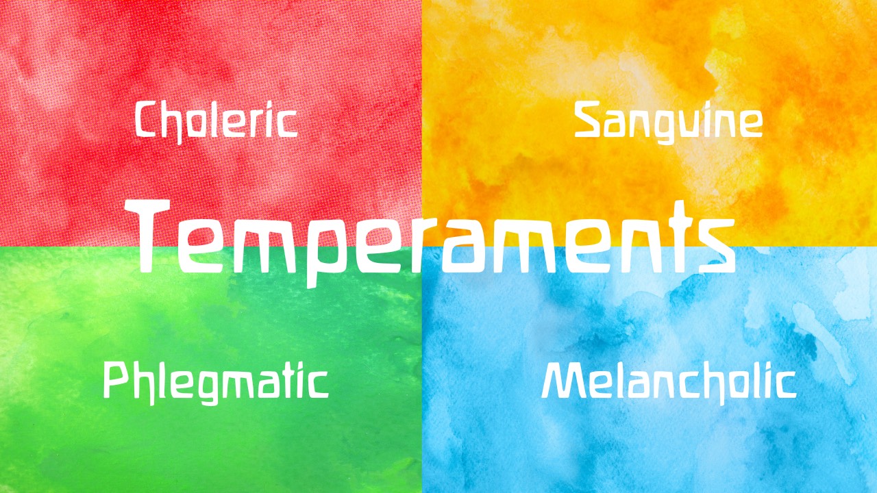 Temperament Parenting