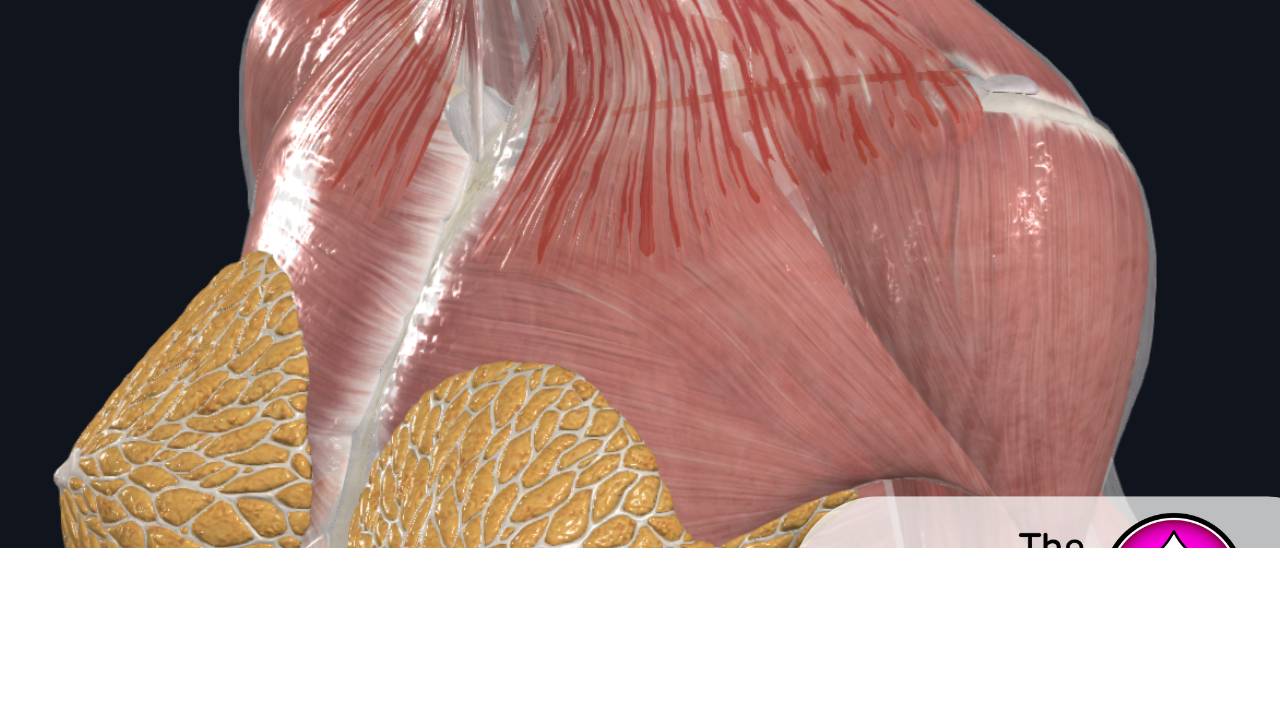 Integrating Evidence-Informed Massage for Holistic Healing