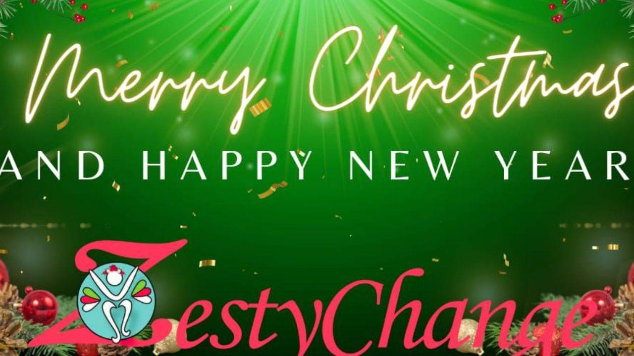 Reflecting on the Year and Embracing New Beginnings: A Zesty Planner