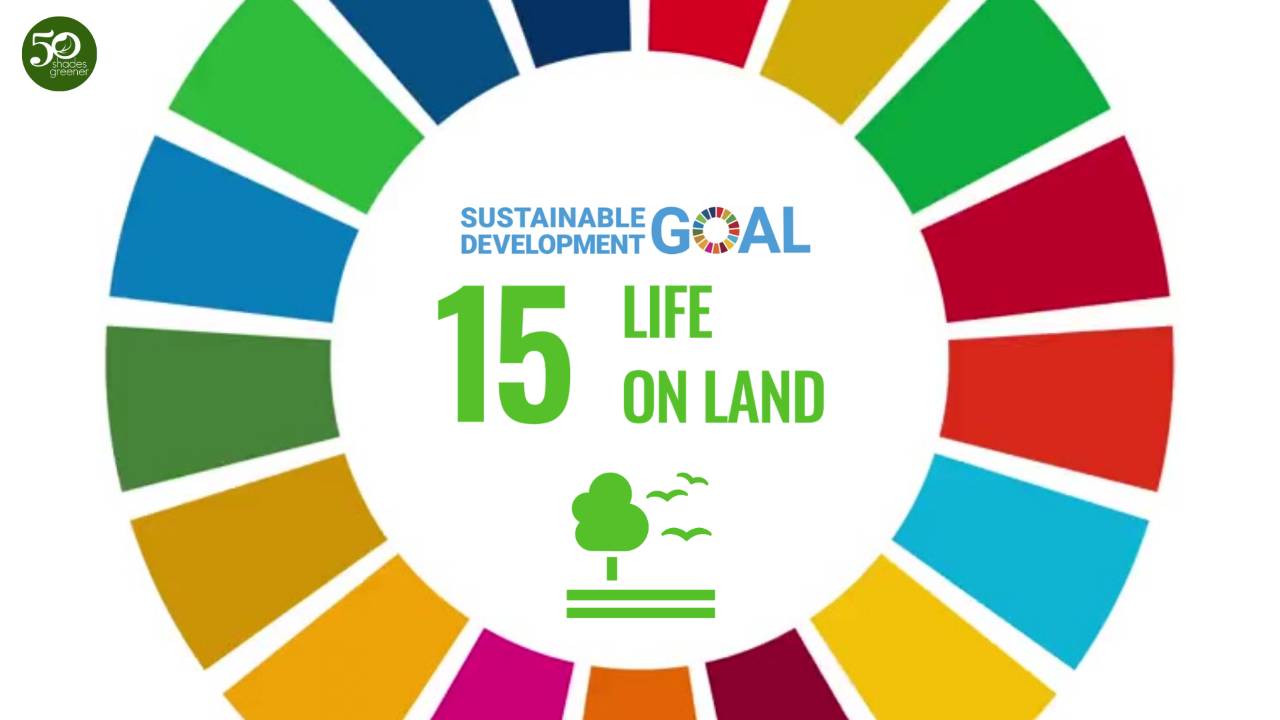 SDG 15: Life On Land | Sustainable Development Goals