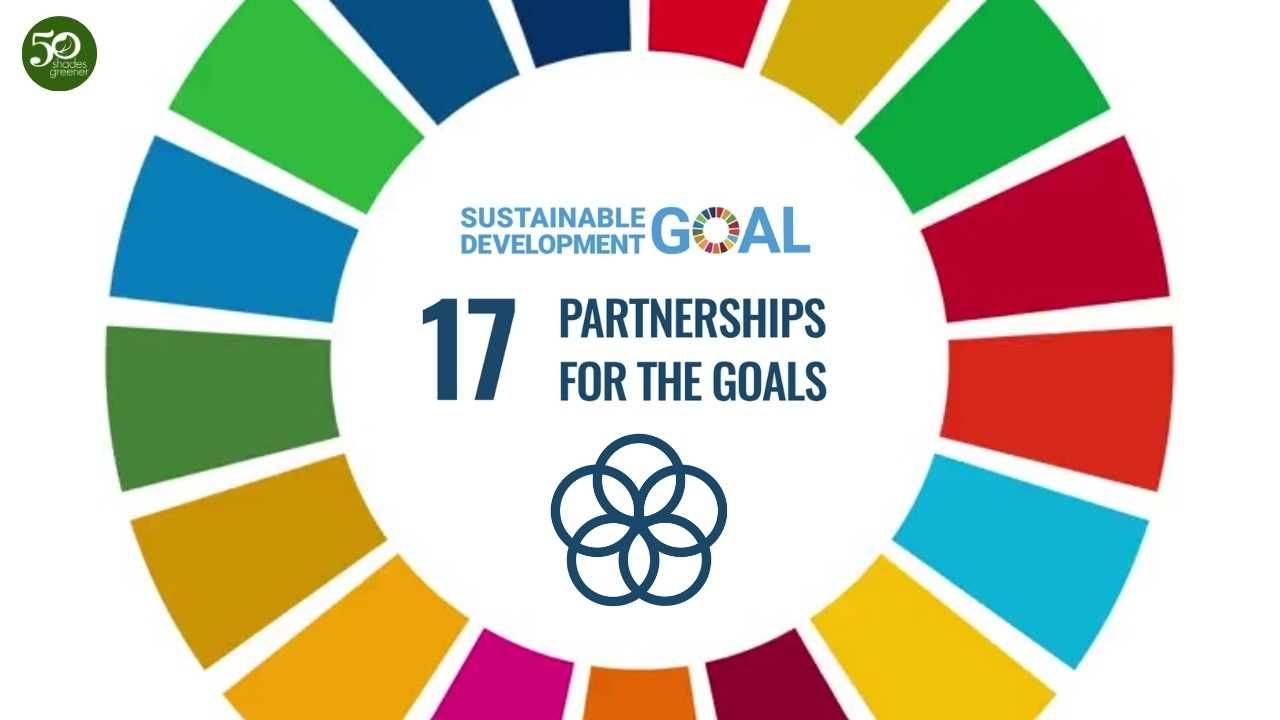 Sustainable Development Goal 17 - Partnerships for the Goals