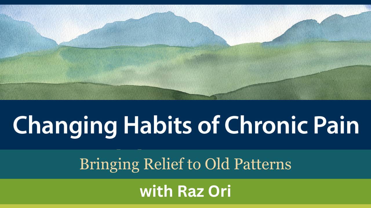 Changing Habits of Chronic Pain: Online Feldenkrais Classes