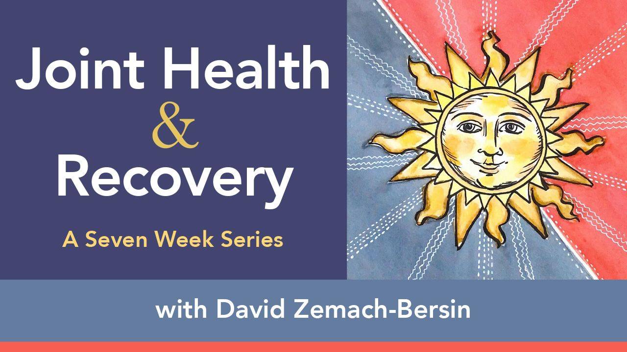 Joint Health & Recovery: Seven Online Feldenkrais lessons