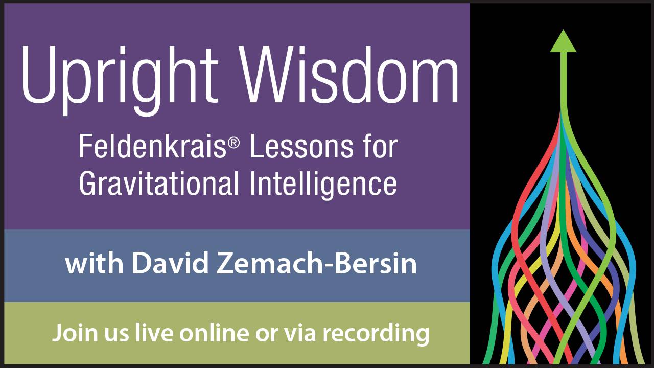 Upright Wisdom: Online Feldenkrais lessons
