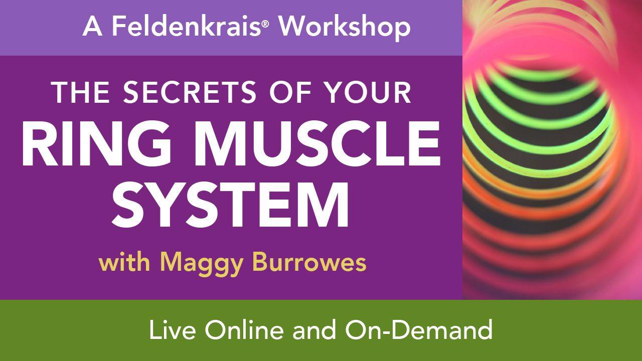 The Secrets of Your Ring Muscle System