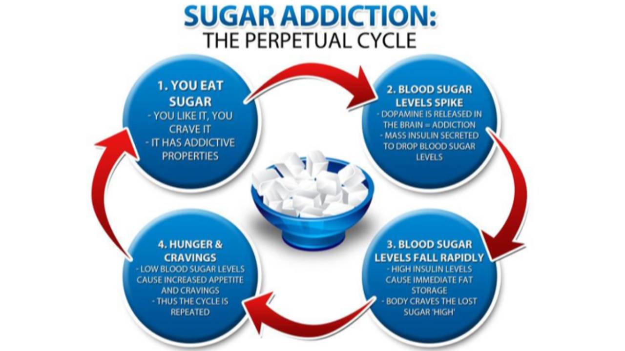The Sugar Cycle - And How You Can Break It!