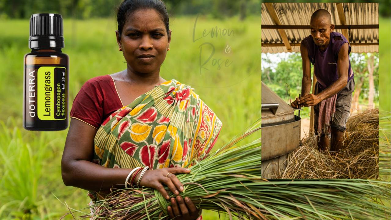doTERRA lemongrass - oljen for renselse og lindring