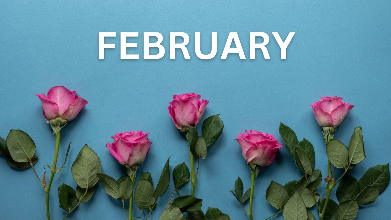 February 2023 observance calendar roundup