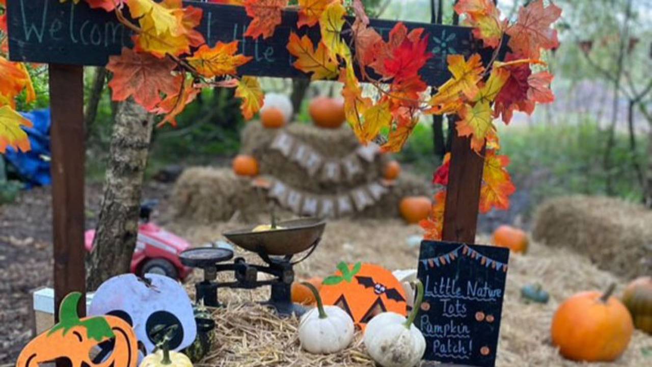 Nature Inspired Outdoor Play Ideas in Autumn