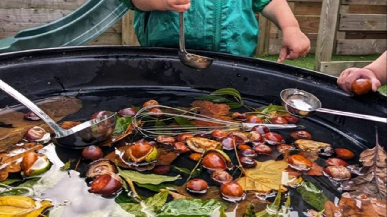 Autumn Leaves and Conkers Please - Conker Activities