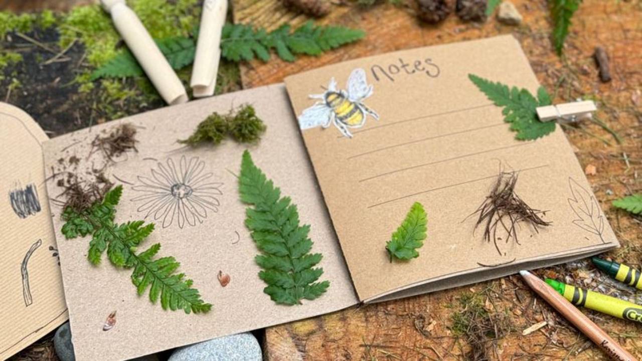 How To Make a Nature Journal With Your Children