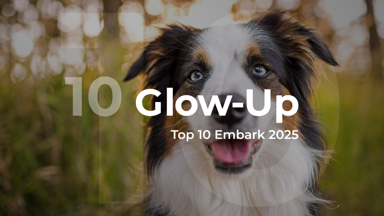 Embark 2025 10 Glow-Up Top 10