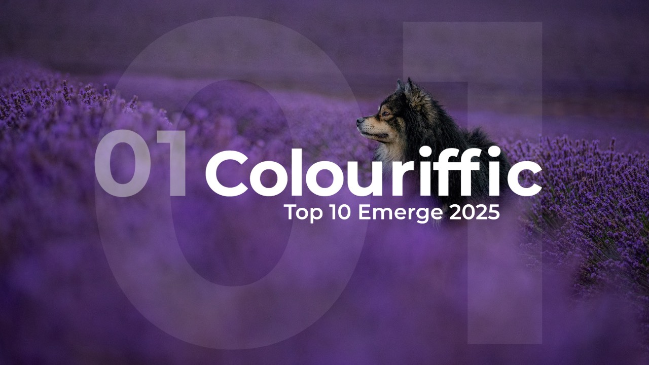 Embark 2025 Colouriffic Top 10