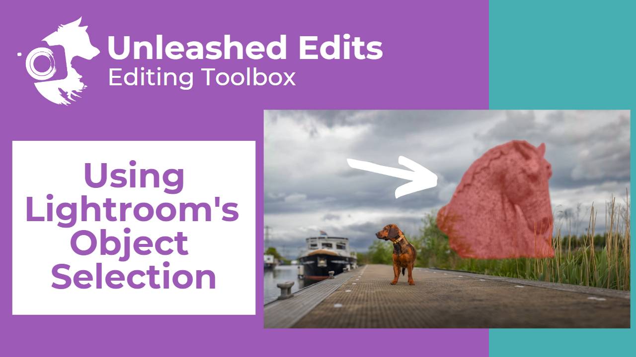 Editing Toolbox: Using Lightroom's Object Selection