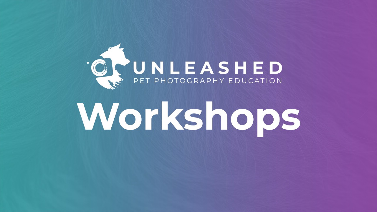 Workshops and Retreats - Learn in Person