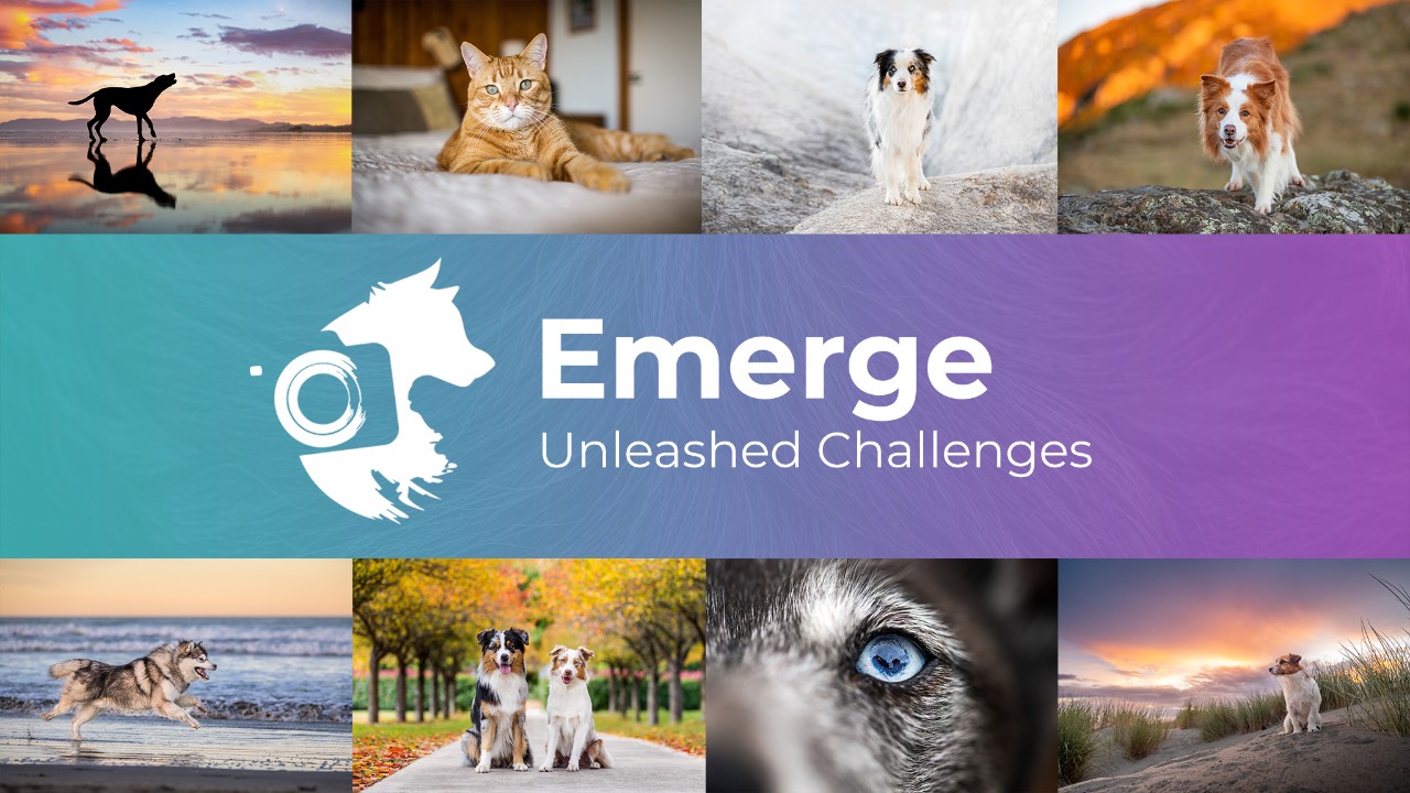 Emerge 2025 Feedback Videos