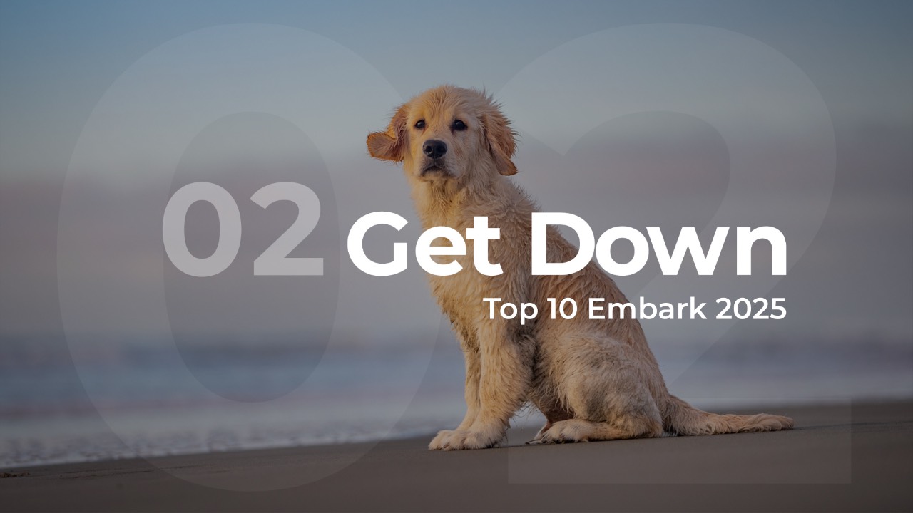 Embark 2025 Get Down Top 10