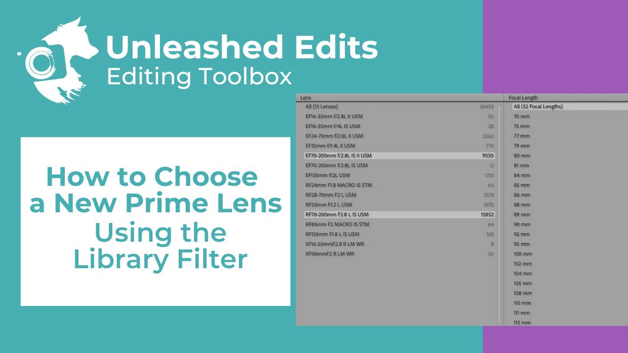 How to Choose a New Prime Lens Using the Library Filter