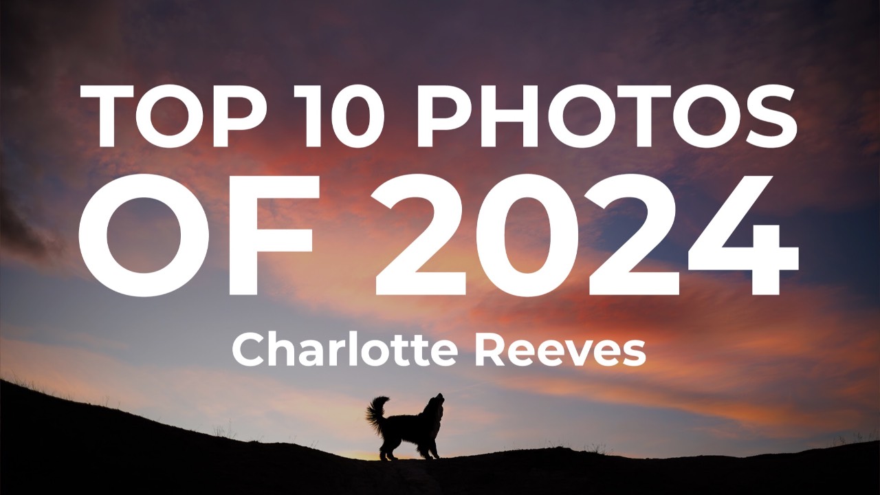 Charlotte's Top 10 Photos of 2024