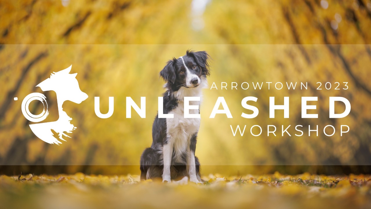 Unleashed Workshop - Arrowtown 2023