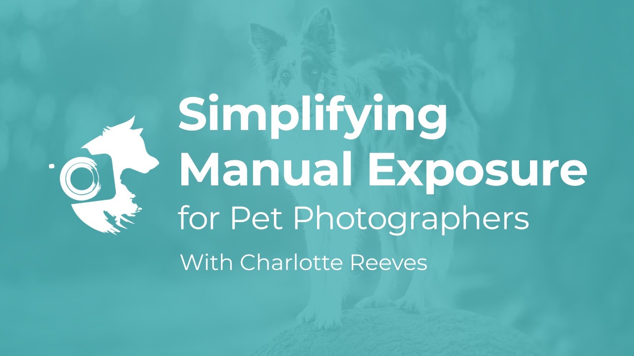 Simplifying Manual Exposure for Pet Photographers