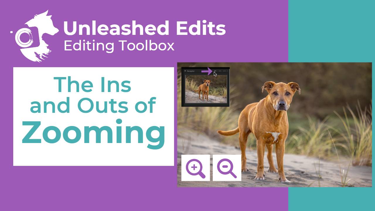 Editing Toolbox: The Ins and Outs of Zooming