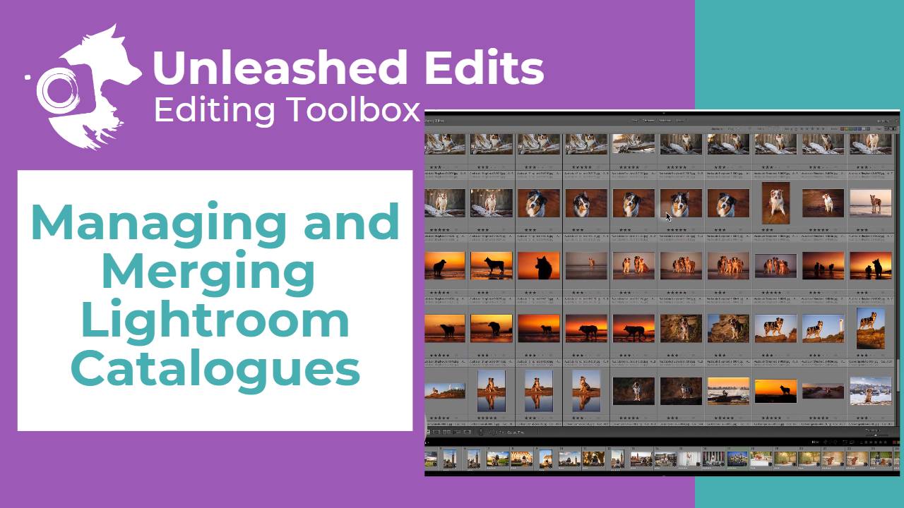 Editing Toolbox: Managing and Merging Lightroom Catalogues