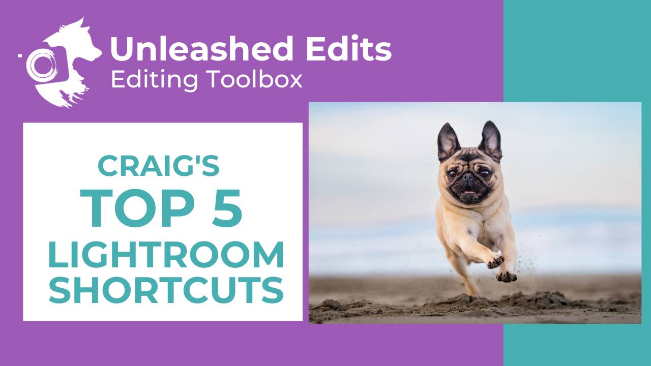 Editing Toolbox: Craig's Top 5 Lightroom Shortcuts