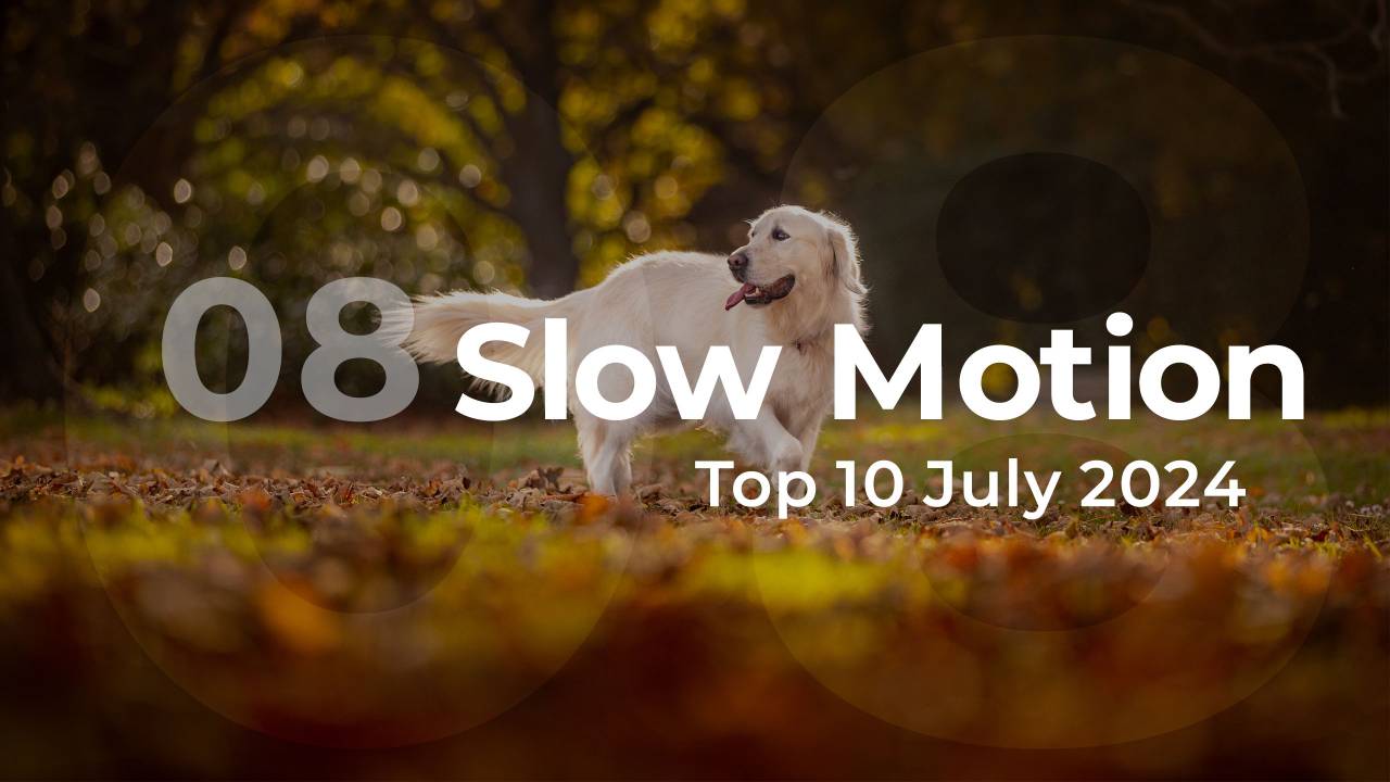 Emerge Slow Motion Top 10