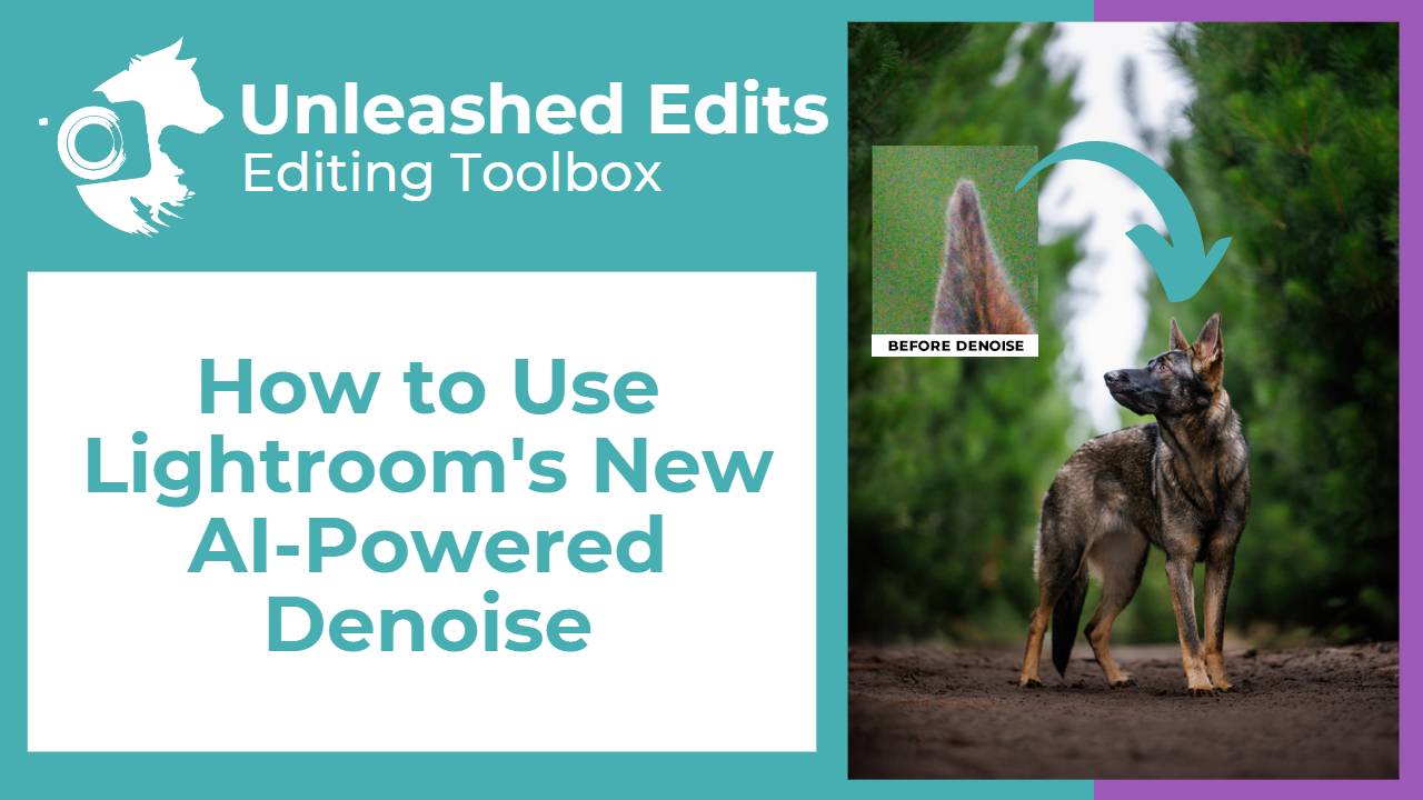 Editing Toolbox: How to Use Lightroom's New AI-Powered Denoise