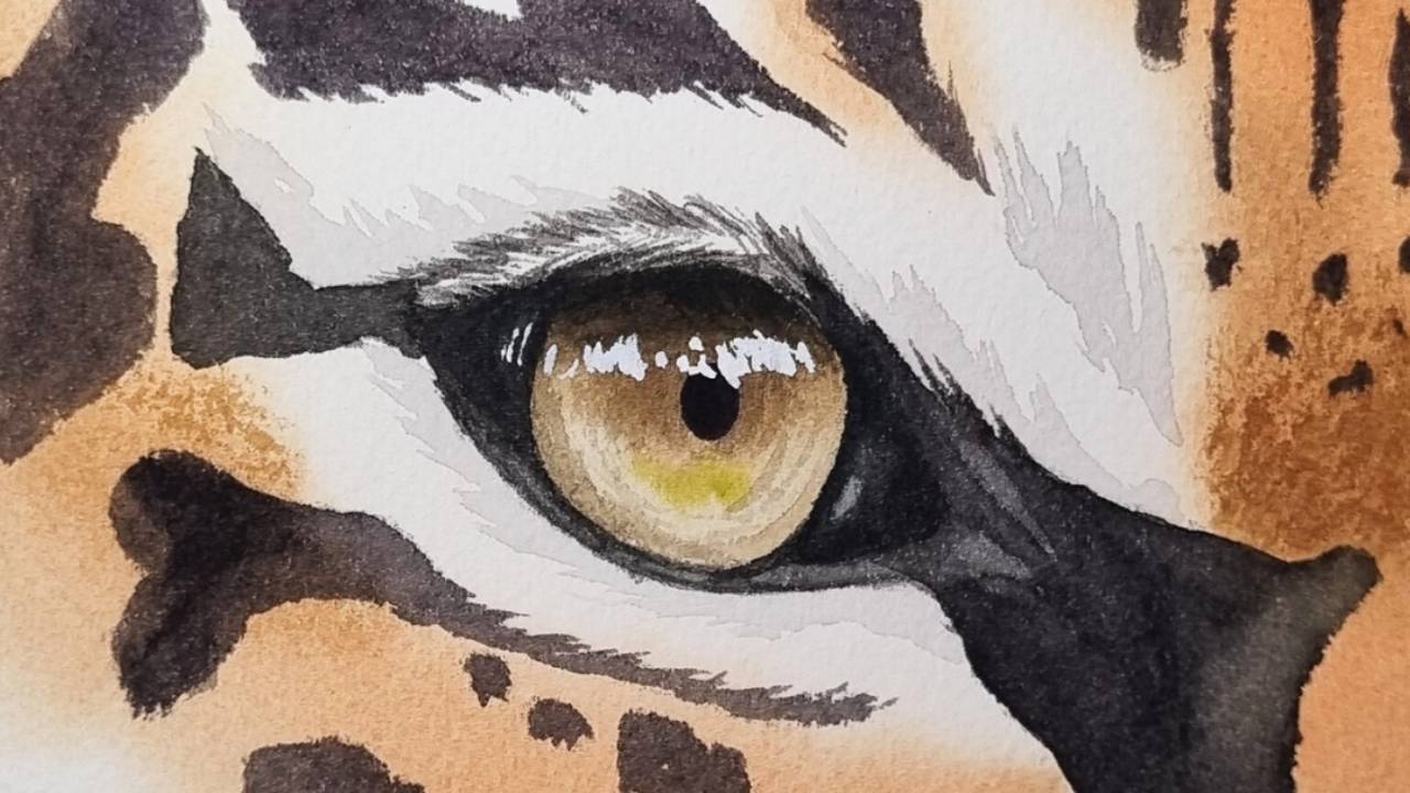 Wild Colours free mini-course