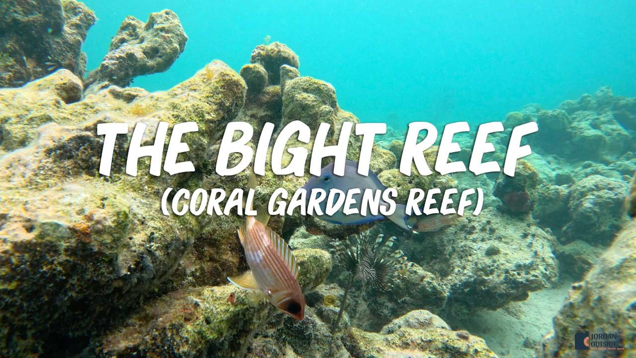 The Bight Reef (Coral Gardens), Providenciales, Turks and Caicos