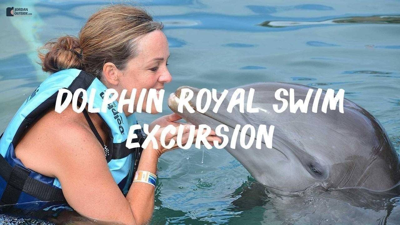 Dolphin Royal Swim Excursion - St. Kitts | Jordan Outside