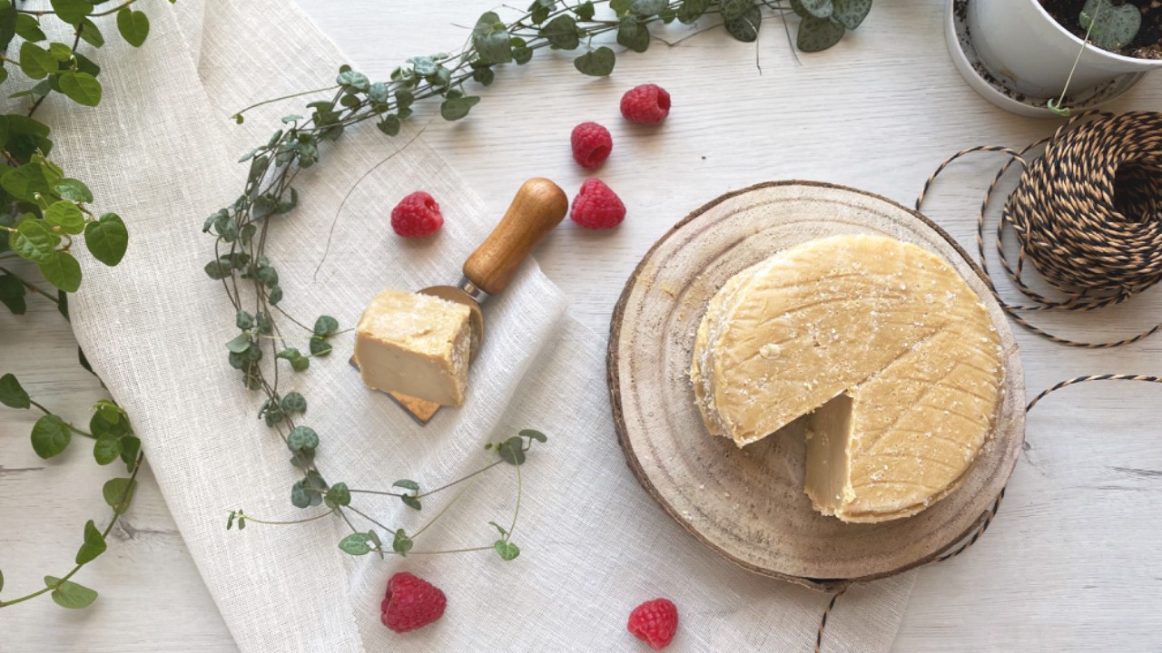 Master Vegan Cheese: Fermented & Aged Recipes at Home
