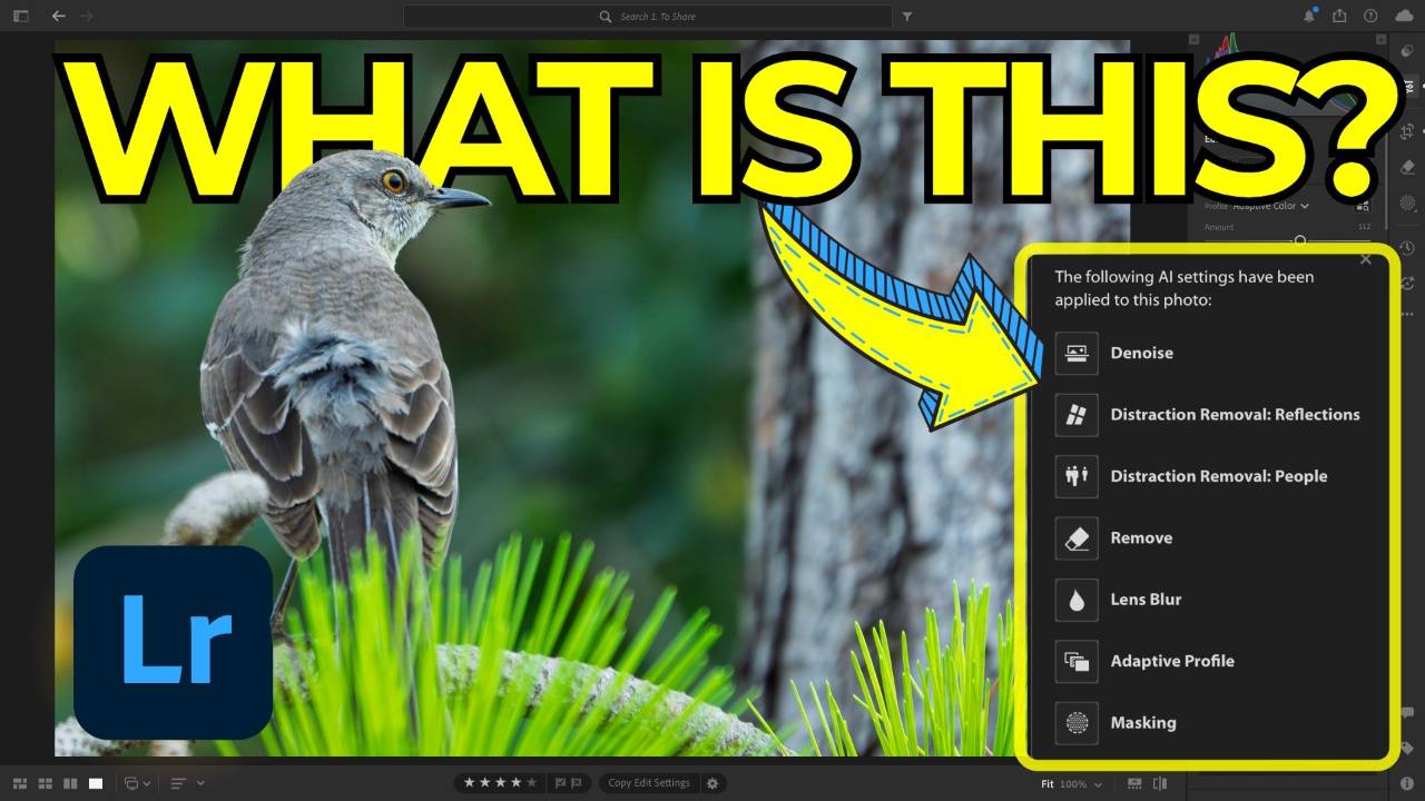 Why Lightroom's AI Edit Workflow Matters More Than You Think