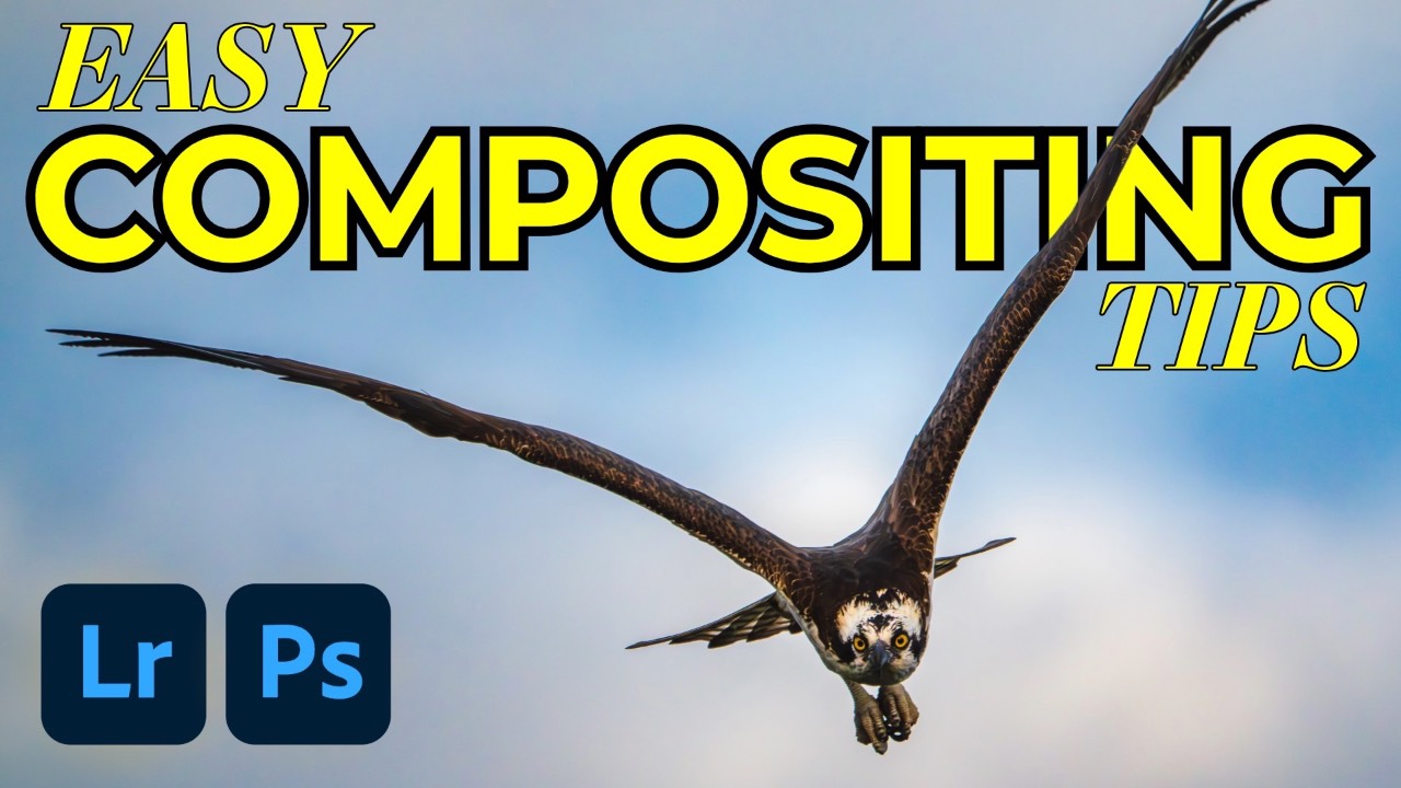 The Easiest Way to Composite Bird Photos Using Lightroom & Photoshop