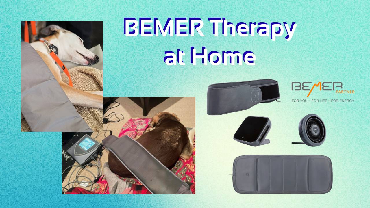 BEMER Therapy Helps Circulatory Highways Keep Moving