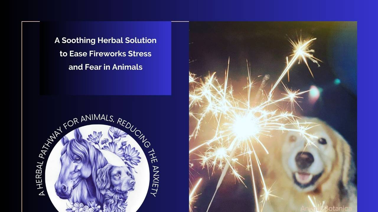 Fireworks and Fear