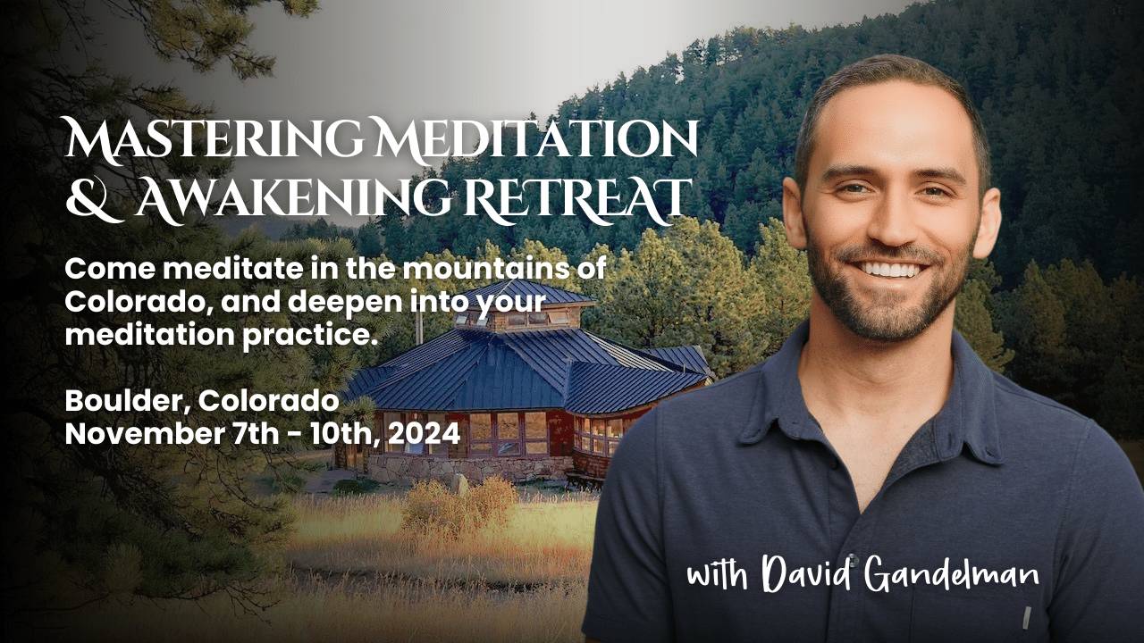 Mastering Meditation and Awakening Retreat with David Gandelman
